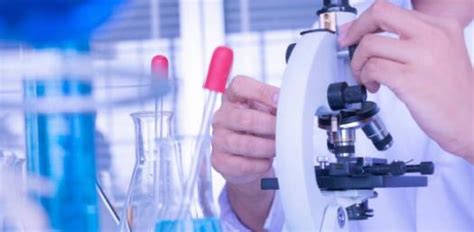 Ultimate Quiz On Scientific Control And Experiment Attempts 390