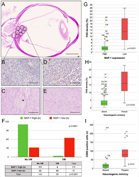 Intratumor Heterogeneity Analysis A Tumors Were Subdivided Into Download Scientific Diagram