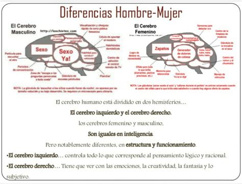 Dura Realidad Mental El Cerebro Tiene Sexo