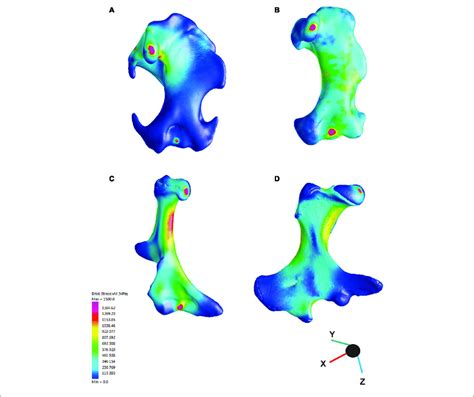 Results From Finite Element Analysis FEA Colors Represent The Download Scientific Diagram