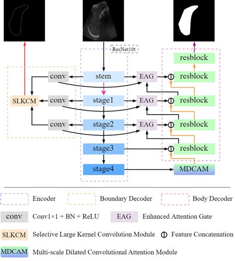 Boundary Aware Convolutional Attention Network For Liver Segmentation
