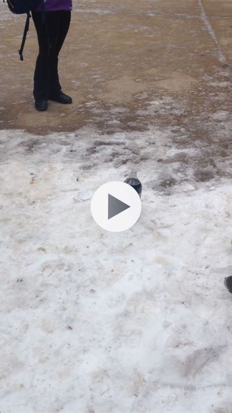 How To Trick An Idiot Meme Guy