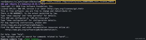 『c c 养成计划』c 项目遇到aborted core dumped 的处理方法 csdn博客