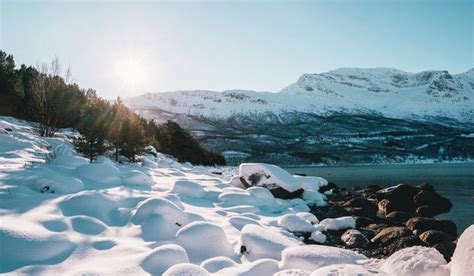 Elastic On Linkedin Elasticsearch Elasticstack Elkstack