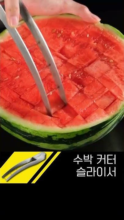 쓱싹쓱싹 커팅기 순식간에 수박 화채 완성 수박 커터 슬라이서 팬캐스트 Pick Youtube
