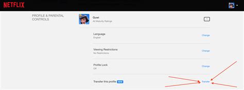 Netflix Profile Transfer VIVIDBAY