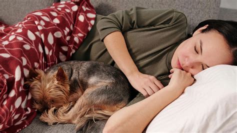 20 Lazy Activities That Are Really Good For You