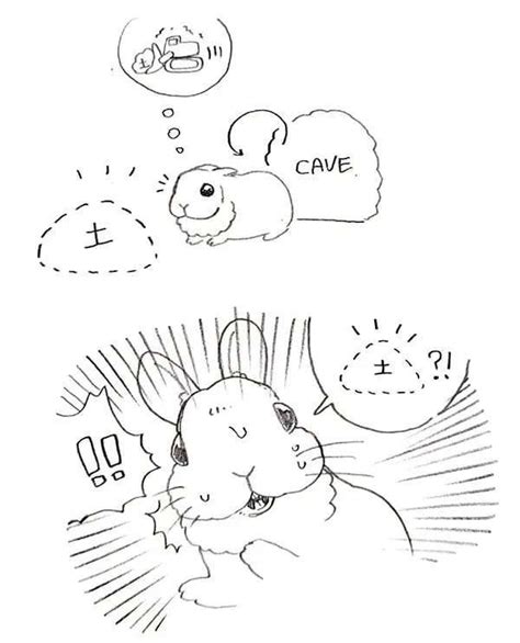 굴 파던 토끼가 당황한 이유 동물 귀여운 아기 동물 웃긴 밈