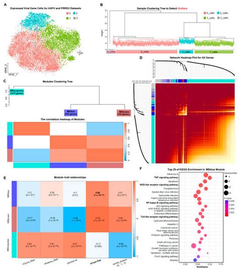 Microorganisms Special Issue Clinical Viral Infections And Autoimmunity