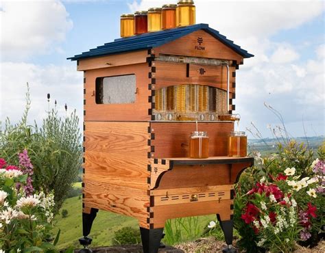 Flow Hive Review A Brutally Honest Guide Thatll Save You Money