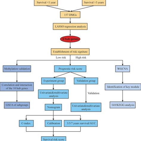 Results Of Weighted Correlation Network Analysis Wgcna On The Rna‐seq