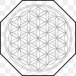 Tree Of Life Sacred Geometry Overlapping Circles Grid PNG 1024x1024px