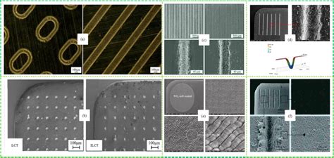 Surface Morphology Of Different Textured Coated Tools A Elliptical