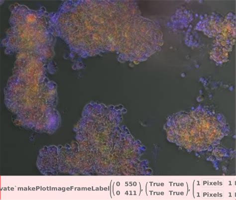PlotMicroscopeOverlay Documentation