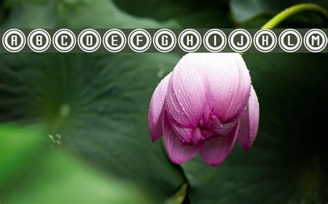 Console Output Font FFonts Net