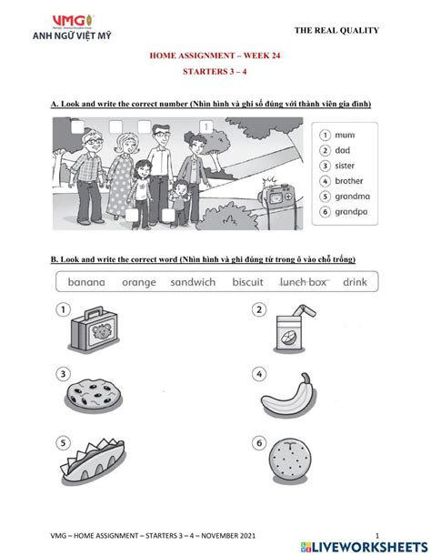 3967252 Home Assignment Starters 3 4 Week 24