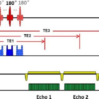 Diagram Of The Three Echo Asymmetric Spin Echo Sequence For The Download Scientific Diagram
