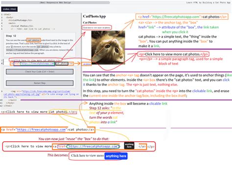 Learn Html By Building A Cat Photo App Step 11 Html Css The Freecodecamp Forum
