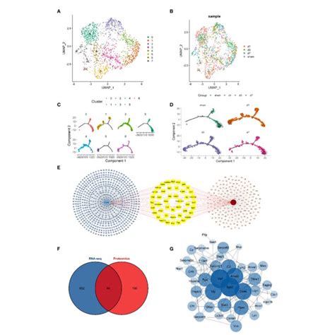 Overview Of Conventional Scrna Seq Analysis And Scstar Analysis Of Download Scientific Diagram