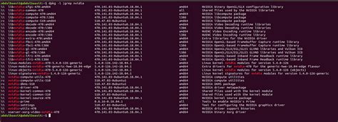 Nvidia Persistence Daemon Failed To Start Linux Nvidia Developer Forums