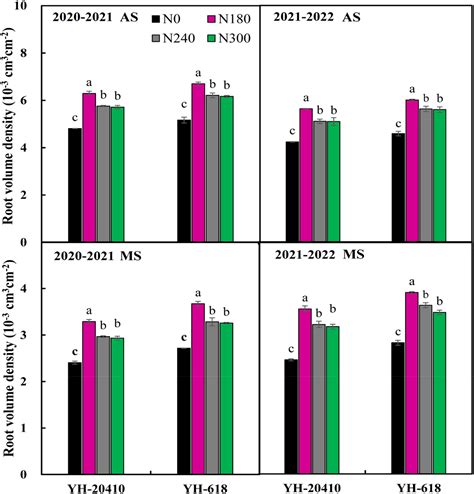 Root Morphology And Physiological Of Their Relationship With Nitrogen Uptake In Wheat Triticum