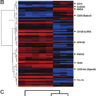 Clustering Of Gene Expression And High Resolution Array Based CGH Data