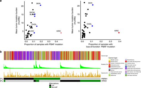 Pbaf Pbrm1 And Arid2 Only Complex Mutations Across Msk Impact Download Scientific Diagram
