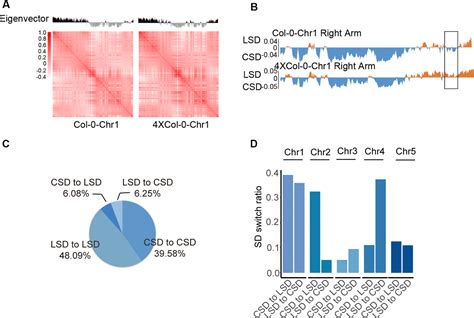 Figure 3 From The Effects Of Arabidopsis Genome Duplication On The