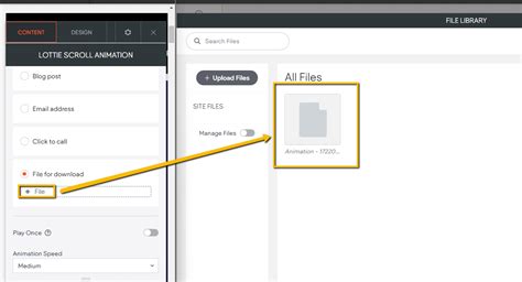 Lottie Scroll Animation Without Code Knowledge Base