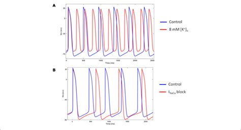 A Effect Of Hyperkalemia K O 8 Mm Conditions On Model Ap