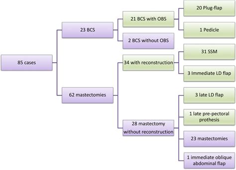 Surgery Flowchart Obs Oncoplastic Breast Surgery Bcs Breast Download Scientific Diagram