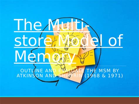 aqa a level psychology memory the multi store model of memory