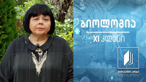 ბიოლოგია Xi კლასი ორგანიზმთა ინდივიდური განვითარება ტელესკოლა 1tv