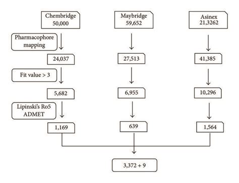Different Steps Involved In Screening The Candidate Compounds 3 372