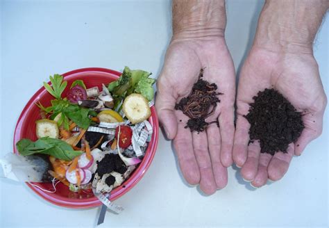 Worm Composting Table Scraps Plus Wiggly Worms Equal Vermi… Flickr