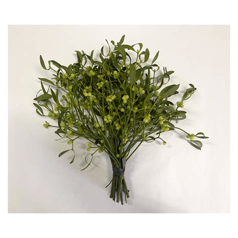 Branches De Gui Décorations De Noël L Sapins Noel Fr