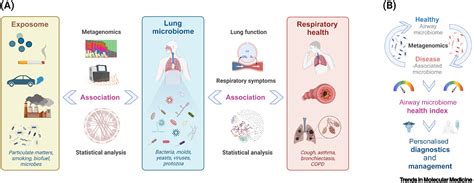 Airway Microbiome Environmental Exposurerespiratory Health Nexus
