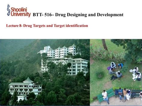 Target Identification In Drug Discovery Pdf Genetics Science