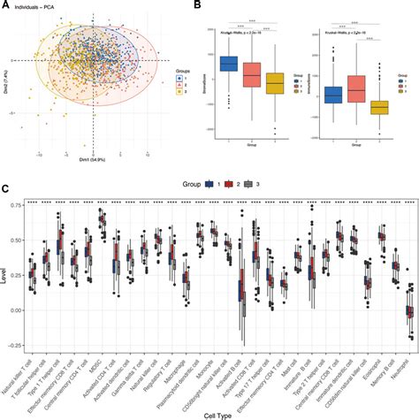 Frontiers Identification Of A Prognostic Risk Scoring Model And Risk