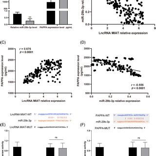 Long Noncoding RNA LncRNA Myocardial Infarctionassociated