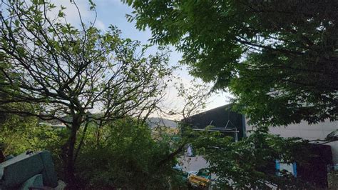 세상에 새로 도전해서 할 일이 참 많다 먹고 살기 위해서는 뭐든 하자 음식 배달일이든 뭐든 플랫폼 노동 일도 나에게는 큰 힘이 된다 새로 시도 해 본다 Youtube