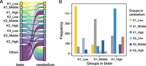 Comparison Of Splicing Complexity And Ψ Values Between Paired Tissues