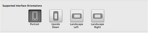 Iphone How To Allow Only Single UIViewController To Rotate In Both Landscape And Portrait
