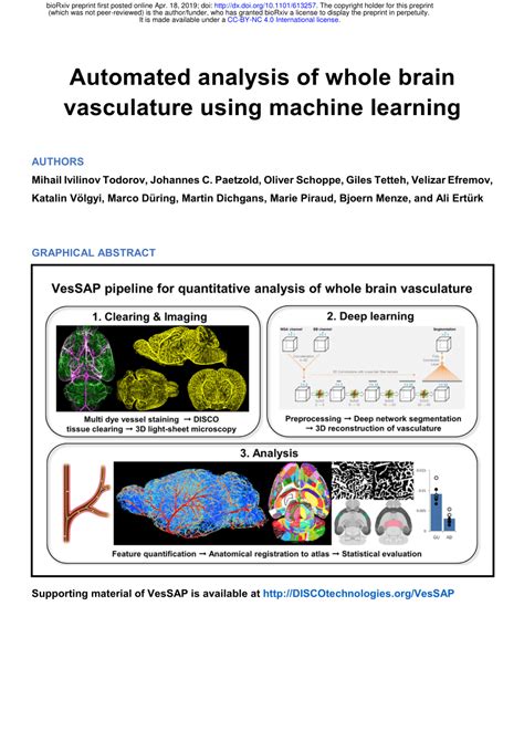 Pdf Automated Analysis Of Whole Brain Vasculature Using Machine Learning