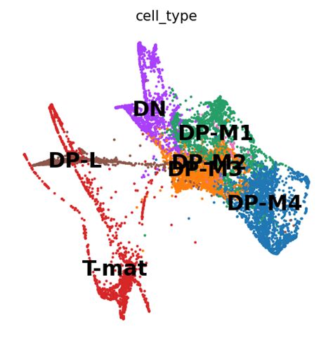 Hands On Inferring Single Cell Trajectories With Scanpy Inferring