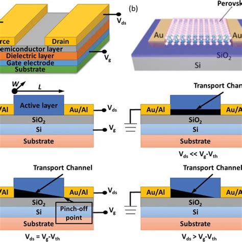 A The Cross‐sectional Schematic Of A Typical Field‐effect Transistor Download Scientific