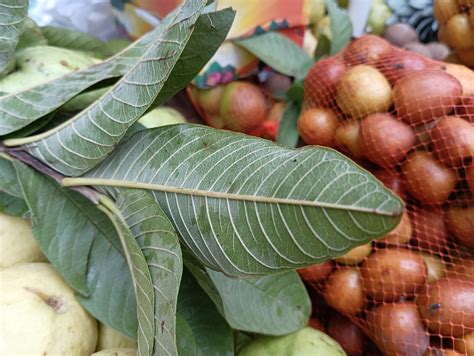 Redmi Note T G Review All About Performance Gadgets