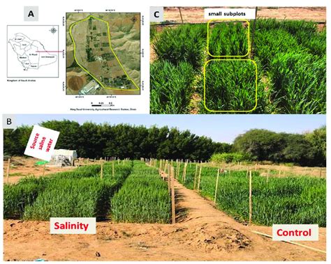 Location Map Of The Experimental Field A Plot Layouts Of The Control Download Scientific