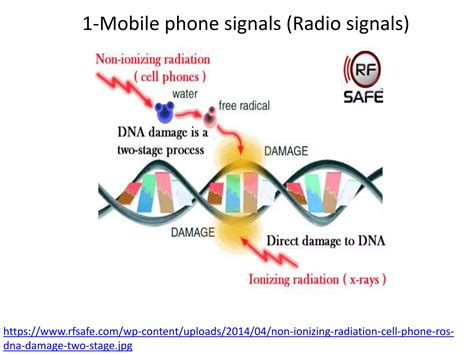 Switching On Sex Mastered By Sry Gene Pptx Reproductive Health Diseases And Conditions