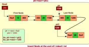 Insertion In Doubly Linked List In C CS Taleem